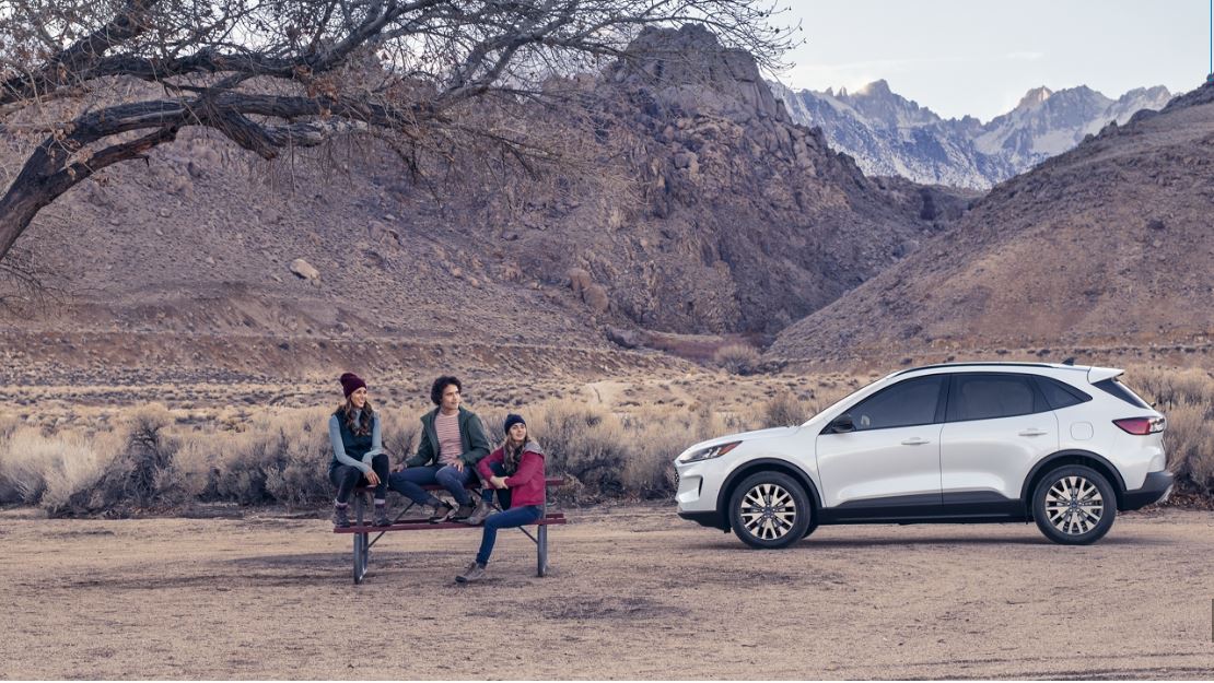 5 Top Ford SUVs for 2020 - Freeway Ford Blog